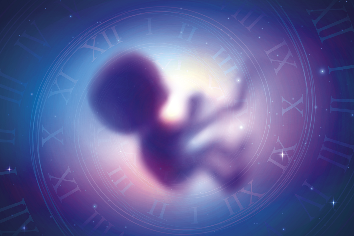 BBC on Conceiving the First Baby in Space